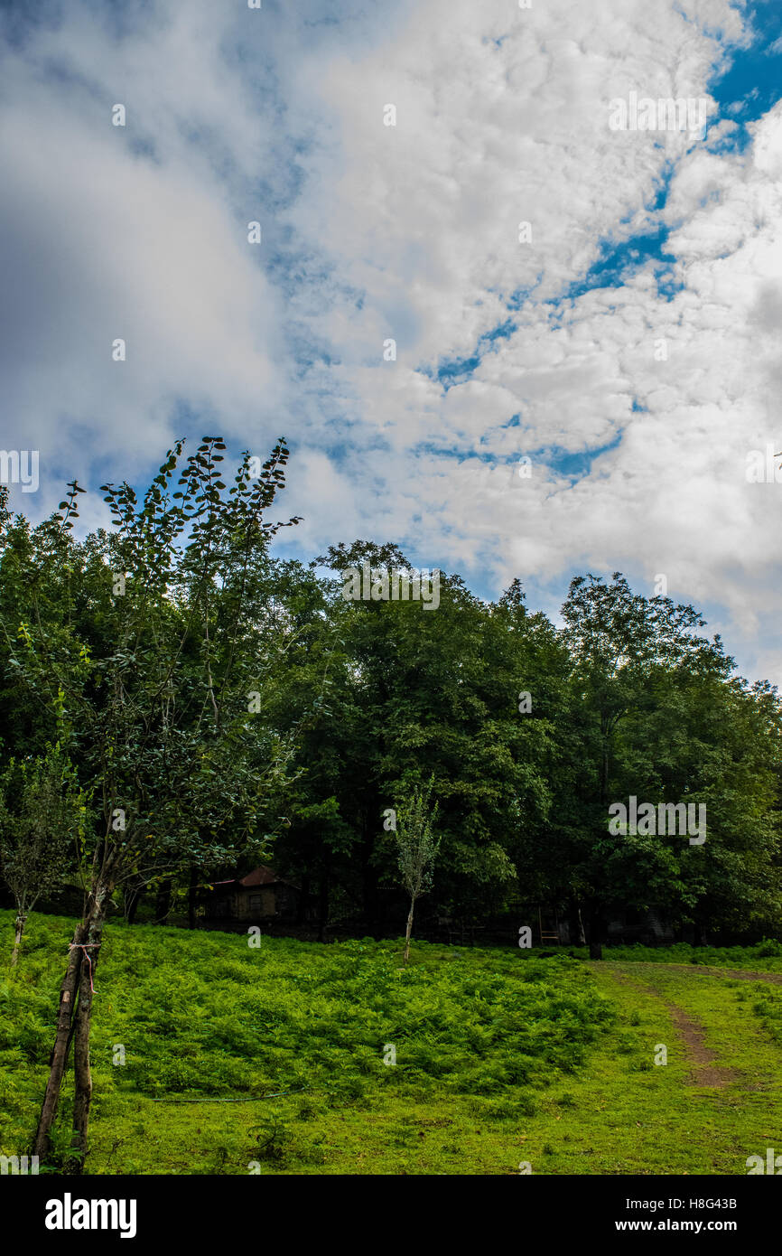 Latoon hi-res stock photography and images - Alamy