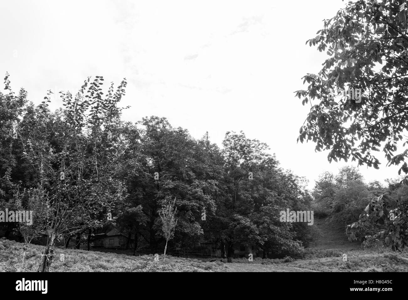 Latoon High Resolution Stock Photography and Images - Alamy