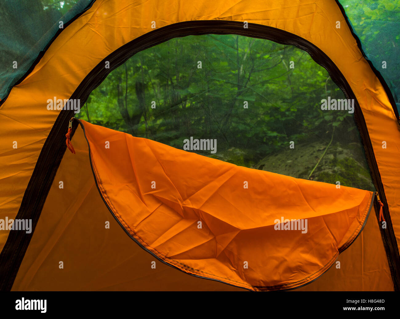 camping in forest Stock Photo - Alamy