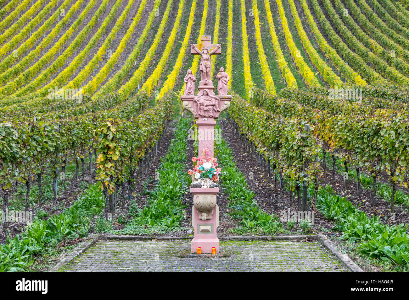 Mosel Valley, autumn, road side cross in a vineyard near Kinheim ...