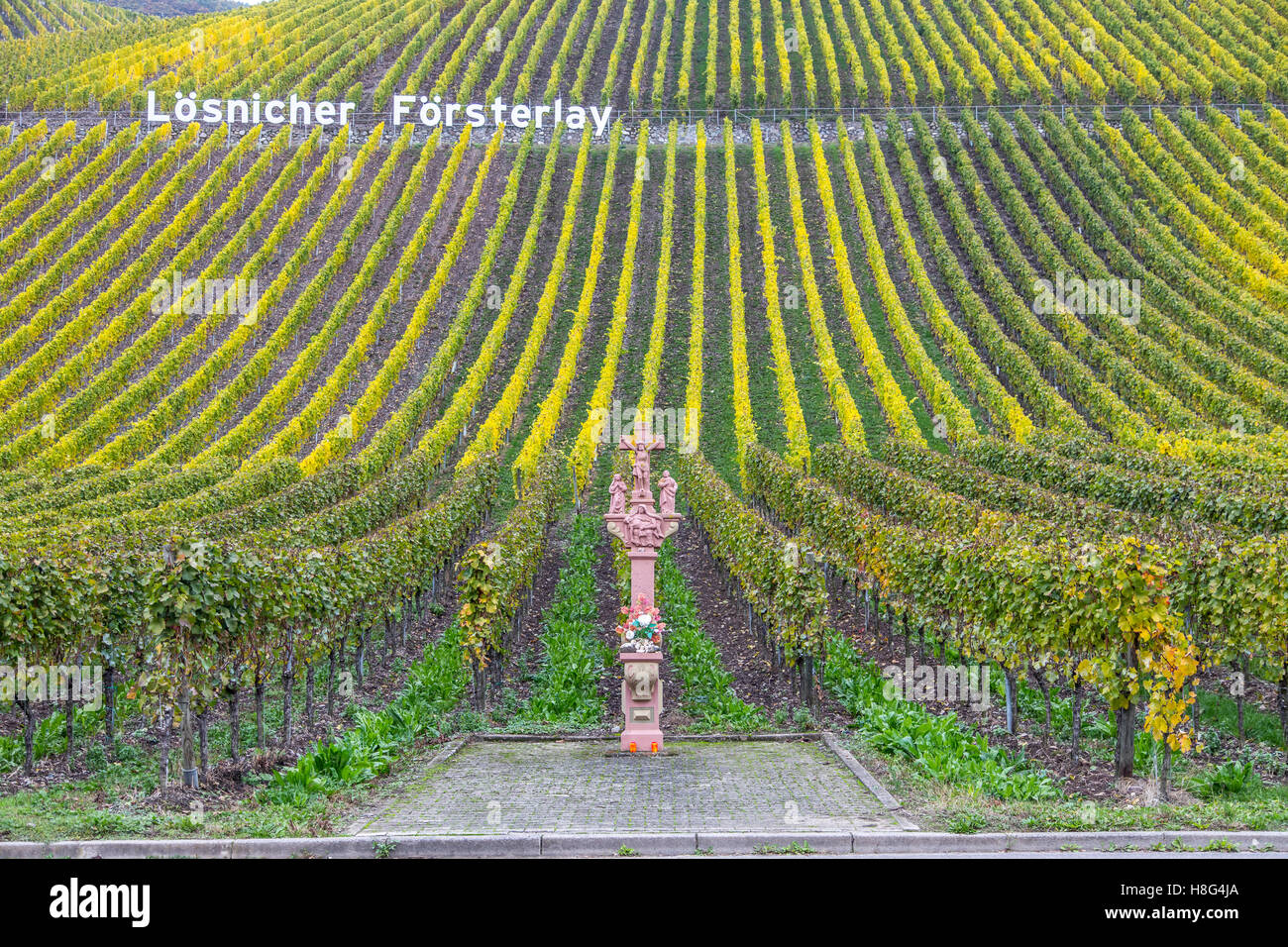 Mosel Valley, autumn, road side cross in a vineyard near Kinheim ...