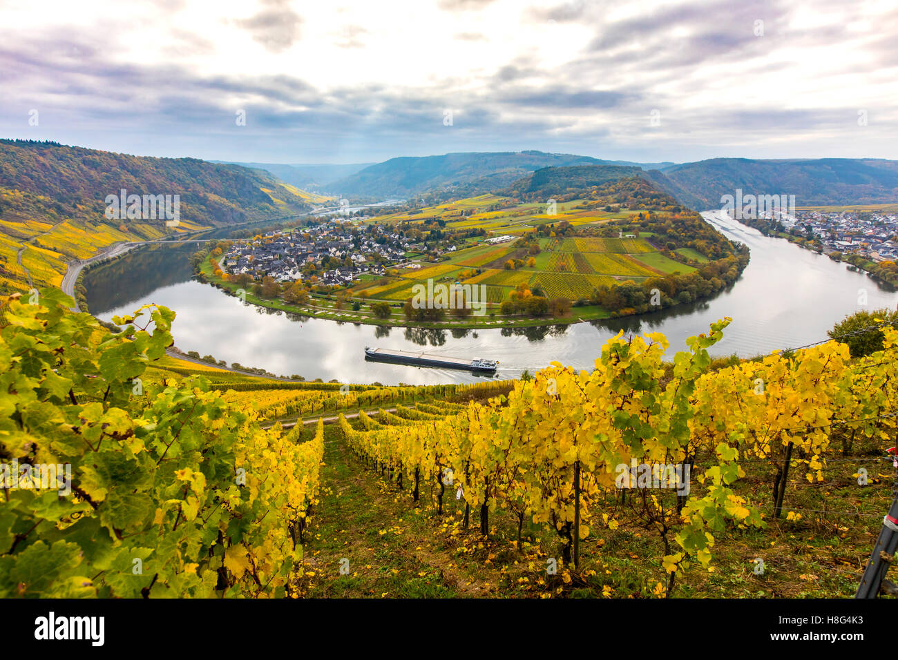 Vineyards mosel river loop germany hi-res stock photography and images ...