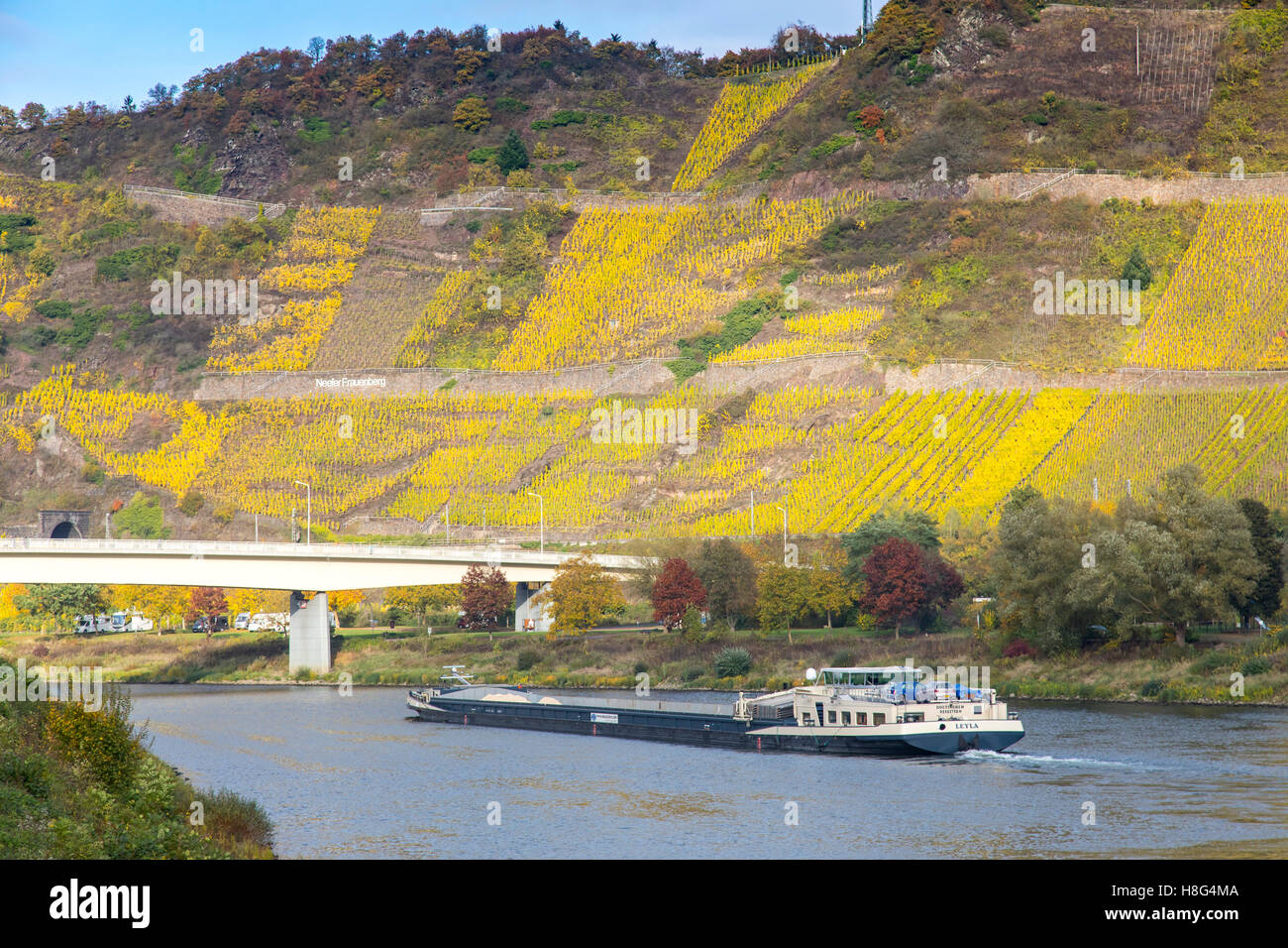 Freightships hi-res stock photography and images - Alamy