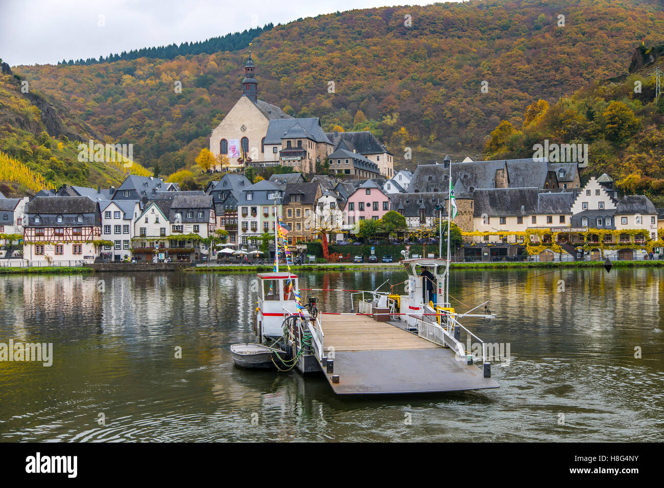 Moselle valley, autumn, the wine town Beilstein, castle Metternich ...