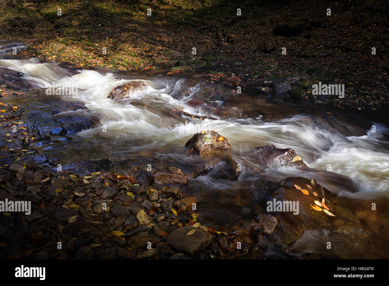 The Neath river Stock Photo - Alamy
