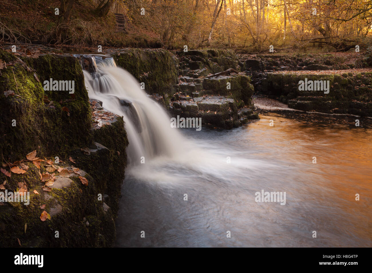 The Afon Nedd Neath river Stock Photo - Alamy