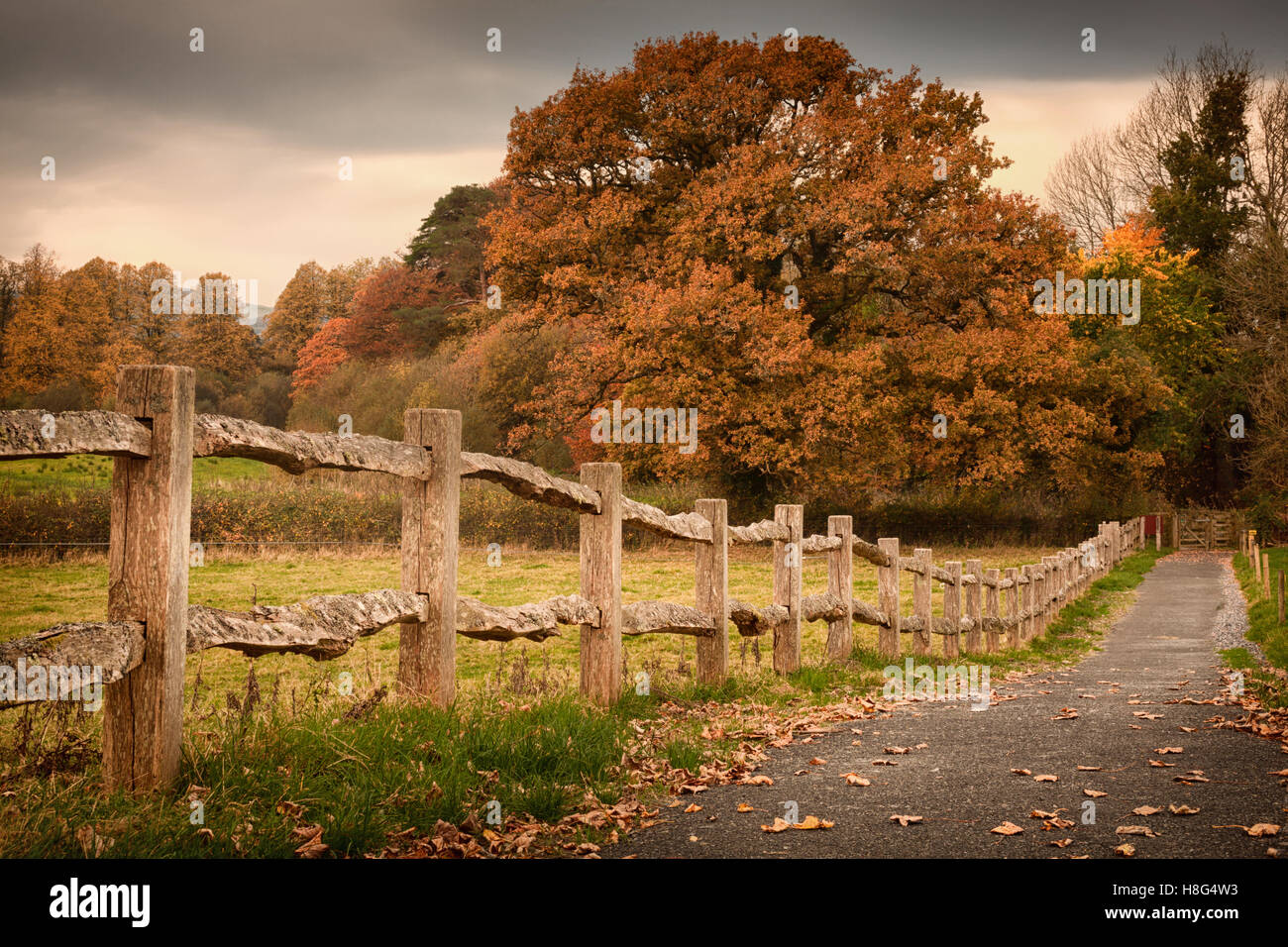 Rustic wooden fence hi-res stock photography and images - Alamy