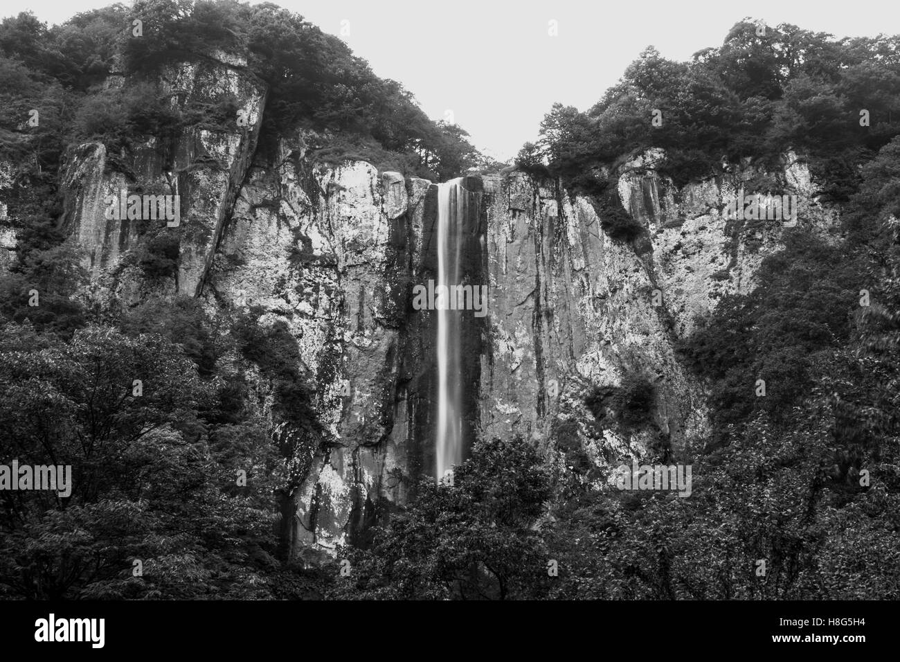 Latoon hi-res stock photography and images - Alamy