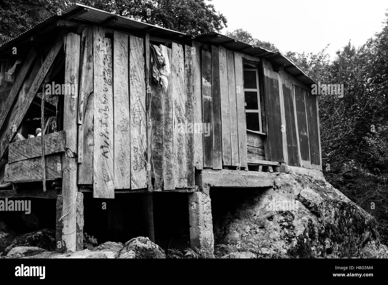 accommodation in latoon jungle Stock Photo - Alamy