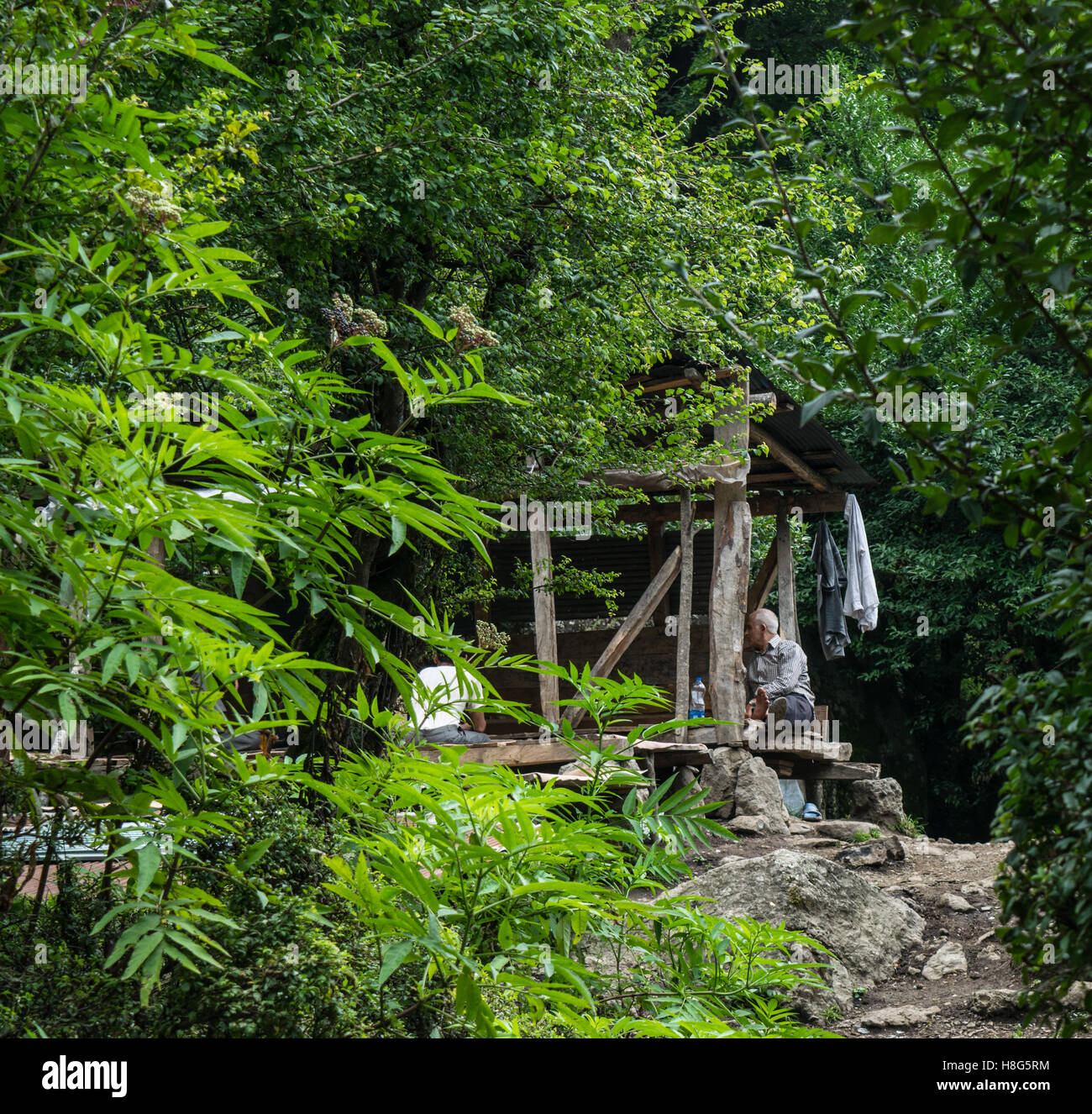 Latoon High Resolution Stock Photography and Images - Alamy