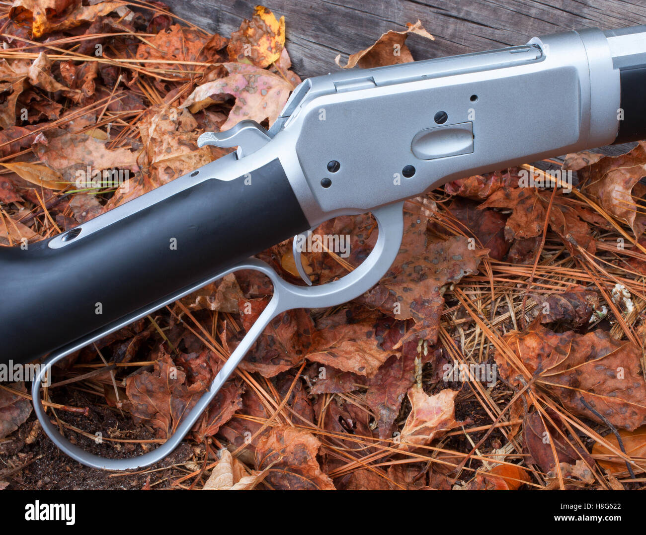 Stainless lever action rifle on autumn leaves Stock Photo - Alamy