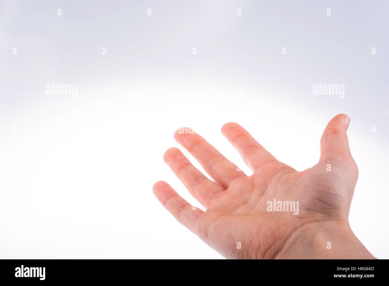 Hand open for a gesture isolated on white background Stock Photo - Alamy