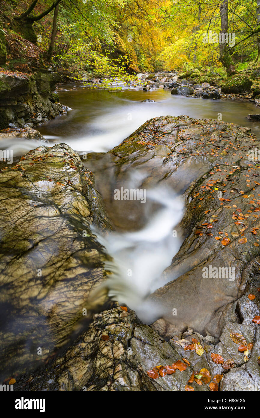 Aberfeldy autumn hi-res stock photography and images - Alamy
