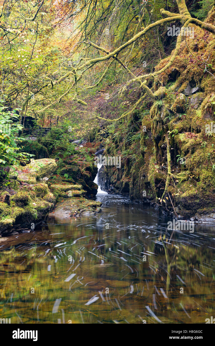 The Birks of Aberfeldy along the Moness Burn in Perthshire, Scotland ...