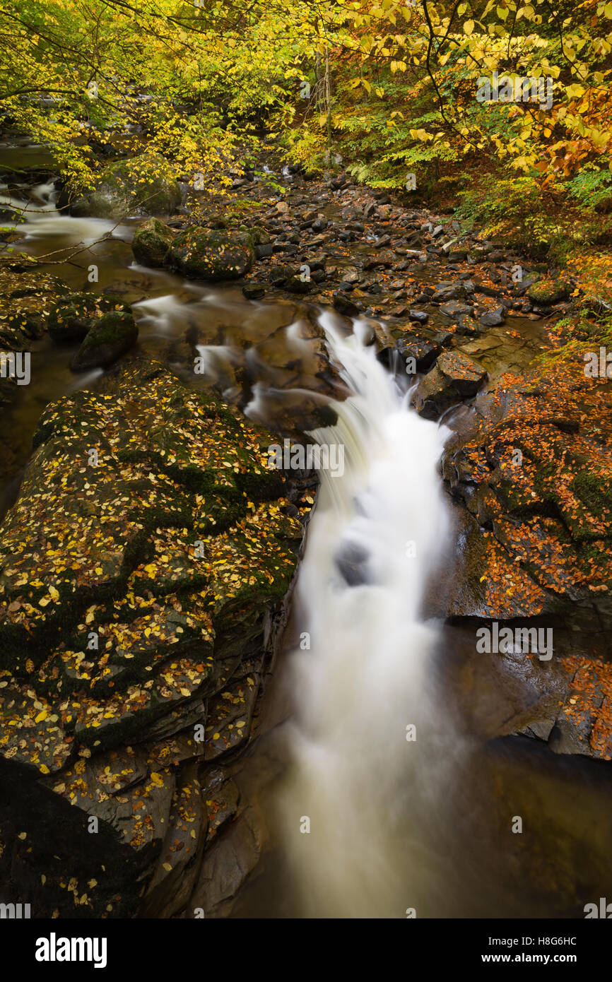 Moness burn aberfeldy hi-res stock photography and images - Alamy