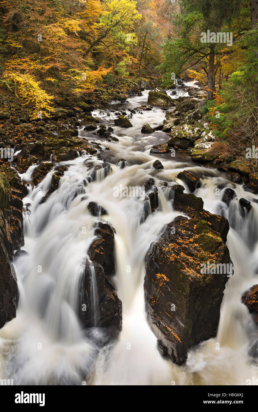 The Black Linn waterfall at The Hermitage, Perthshire, Scotland, is an ...