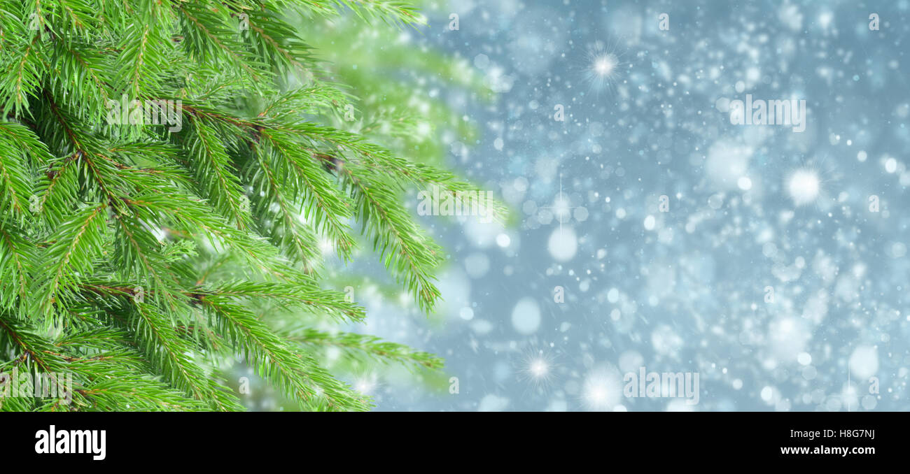 with fir tree and snow Stock Photo - Alamy