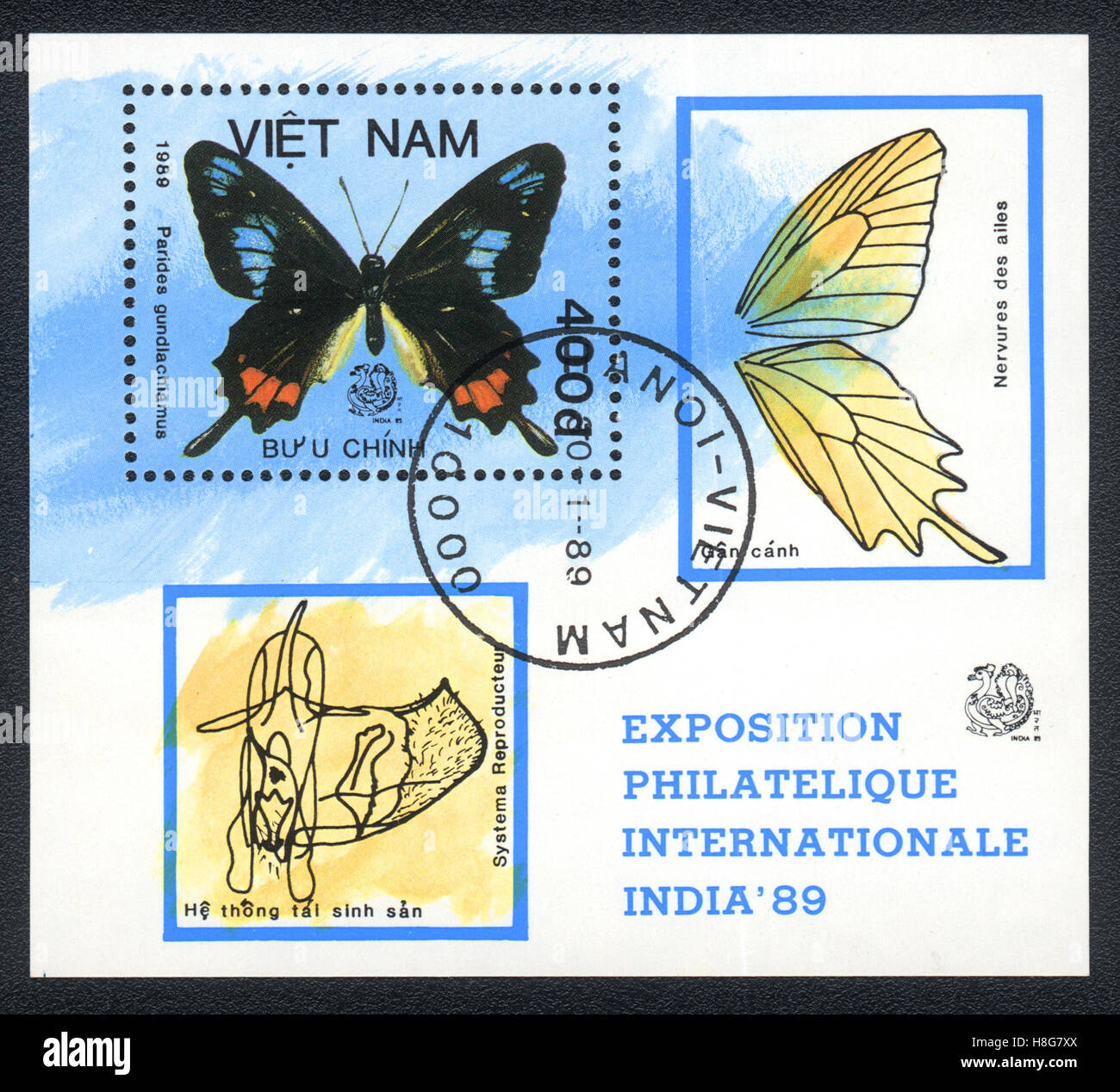 A postage stamp printed in Vietnam shows a butterfly - Cuban ...