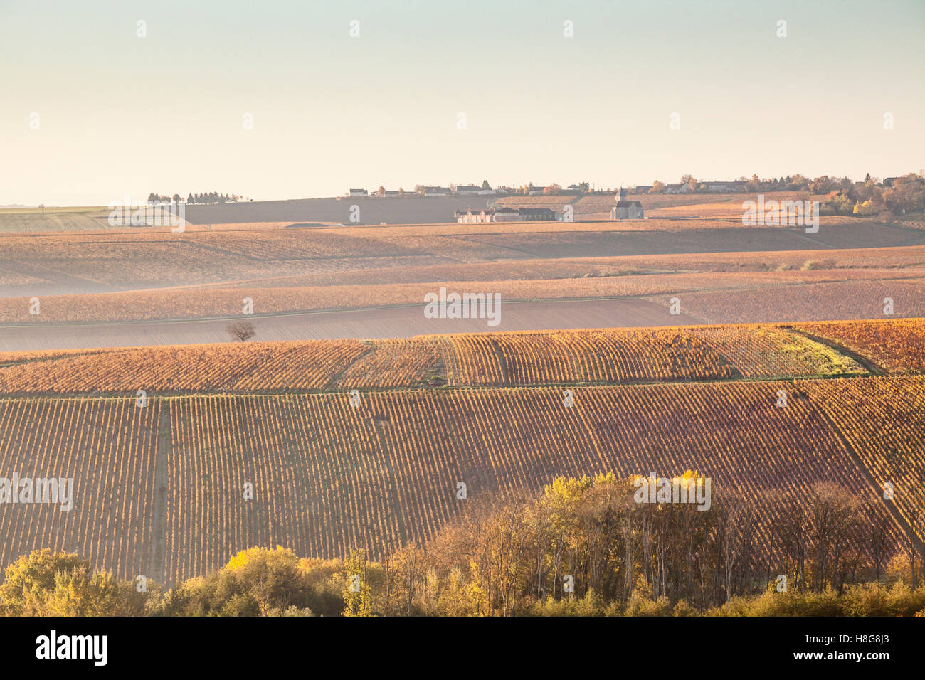 Chablis france vineyard hi-res stock photography and images - Alamy