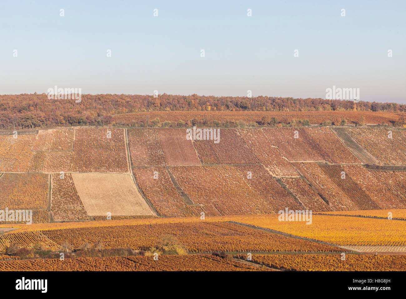 Chablis france vineyard hi-res stock photography and images - Alamy