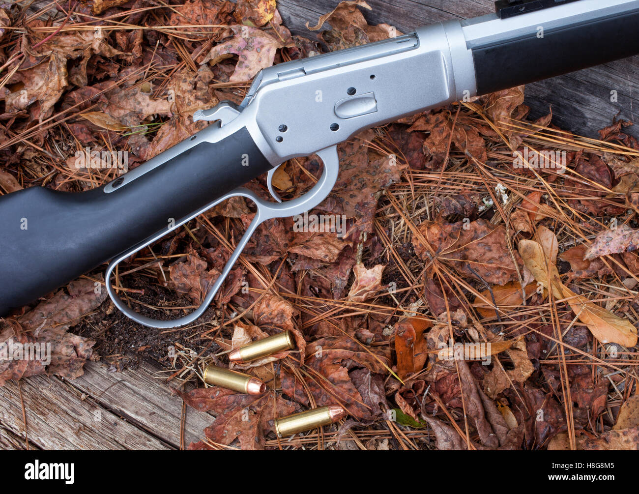 Black and silver colored lever action rifle on fall leaves Stock Photo ...