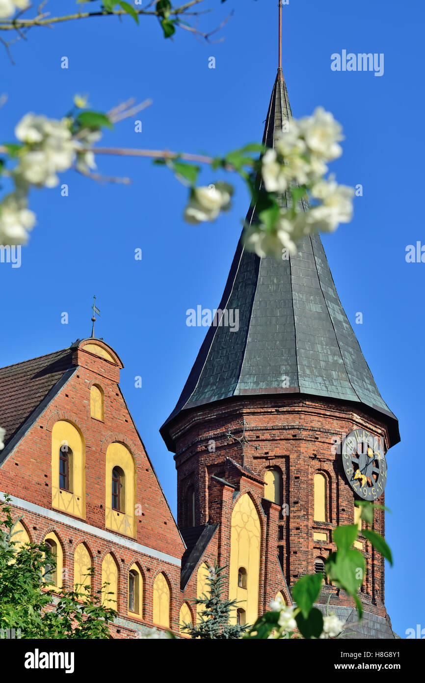 Tower of the Cathedral of Koenigsberg. Gothic 14th century. Symbol of ...