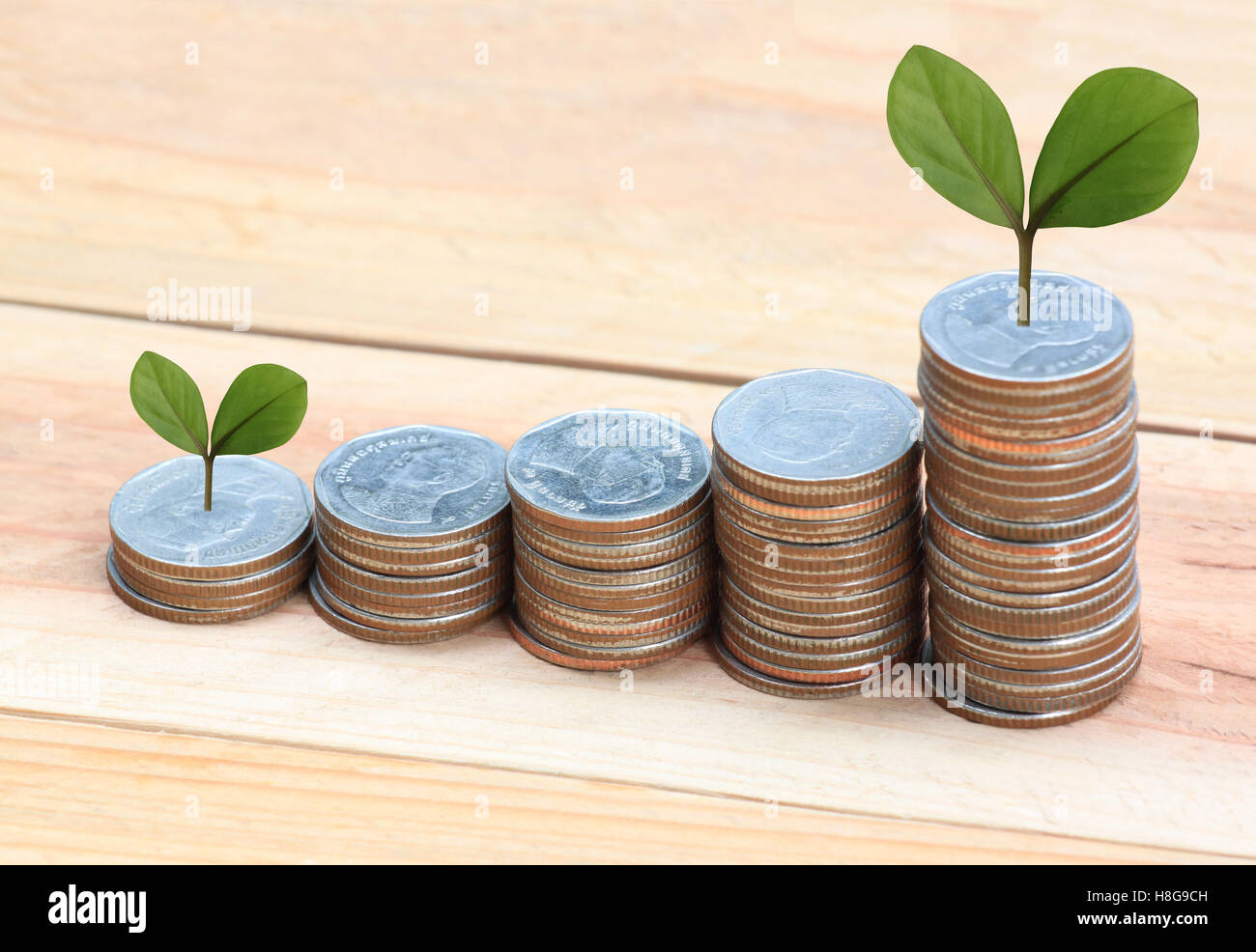silver coin stack and treetop in business growth concept on wood floor ...