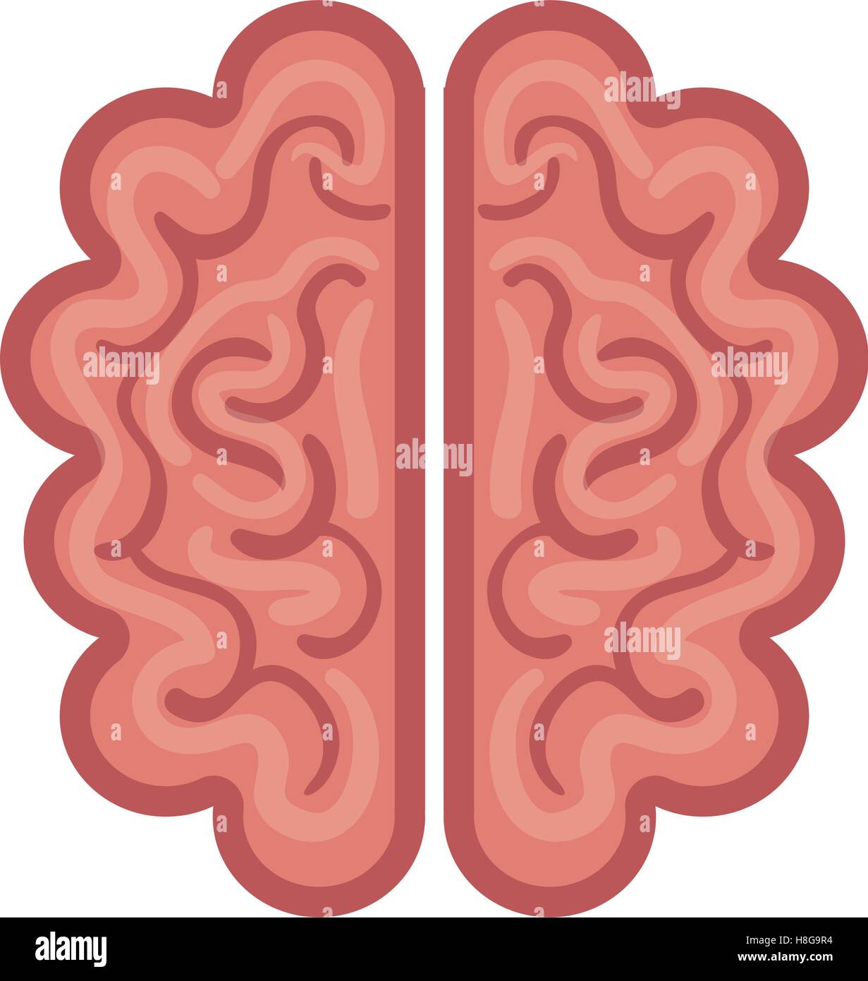 brain organ human isolated icon vector illustration design Stock Vector ...