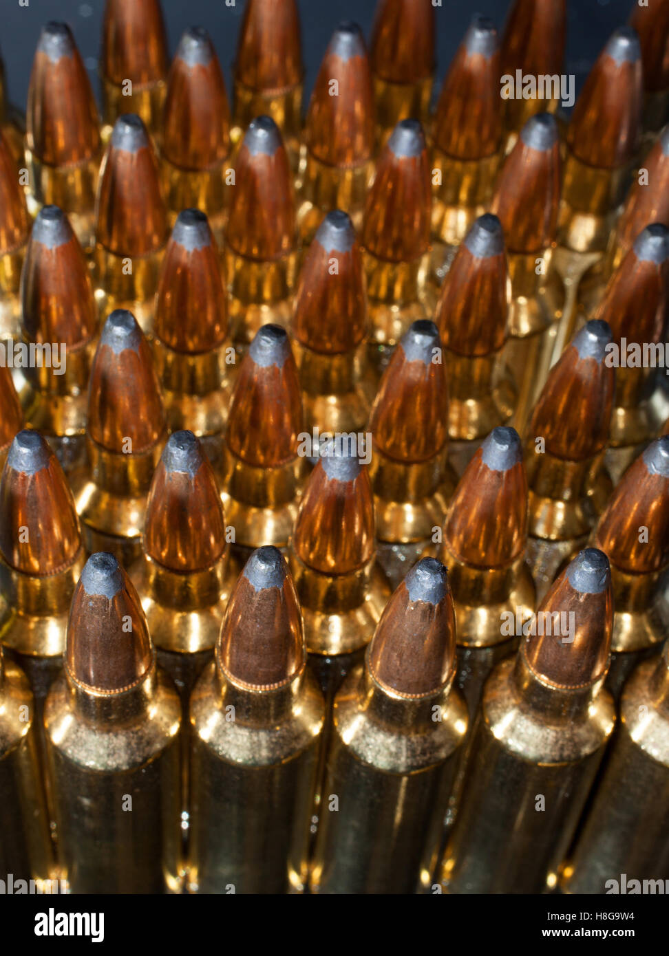 Line of cartridges that can be used in a rifle Stock Photo - Alamy