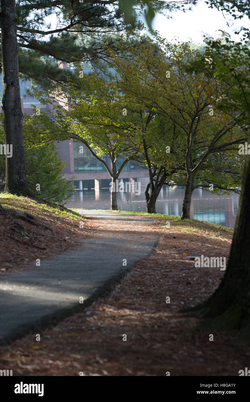 Running path hi-res stock photography and images - Alamy