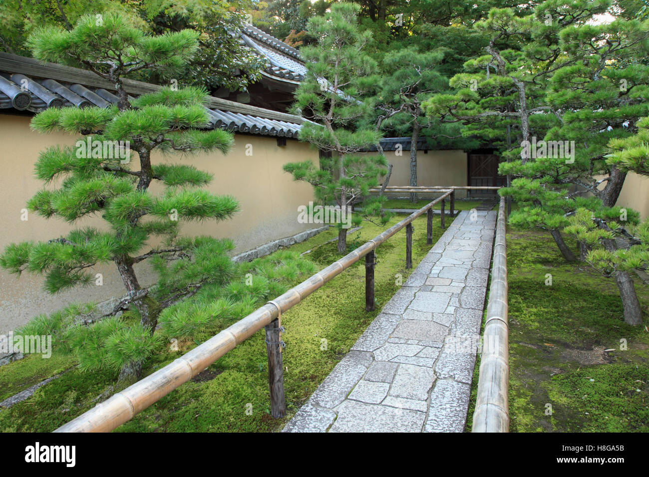 Koto in temple hi-res stock photography and images - Alamy