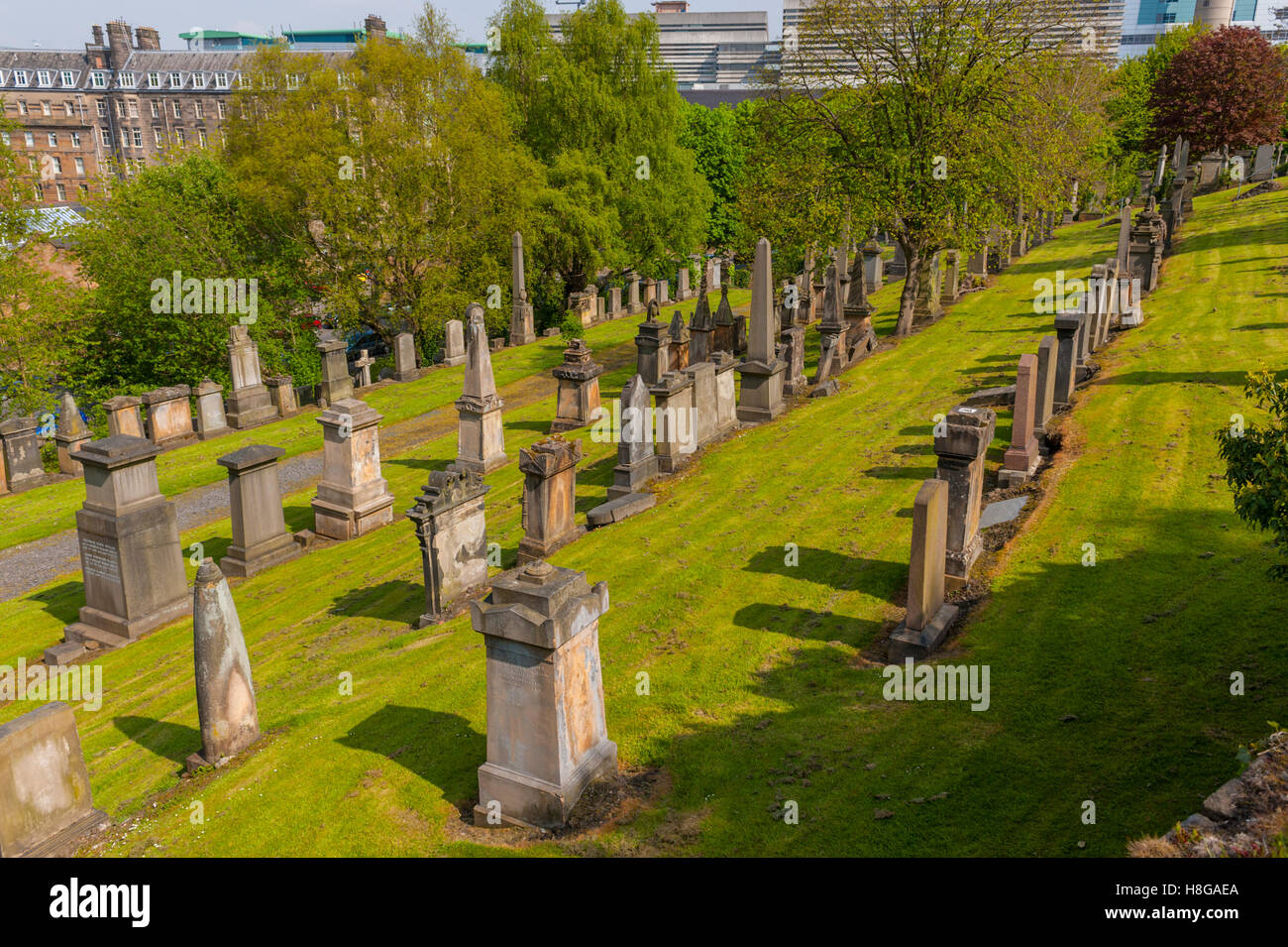 Graves in the eastern necropolis in glasgow scotland Stock Photo - Alamy