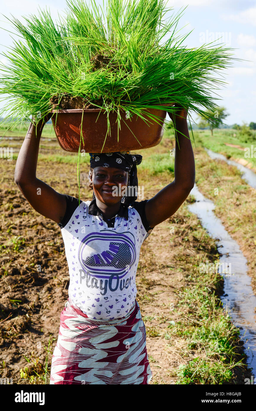 BURKINA FASO, Bobo Dioulasso, village Bama, paddy farming, production ...