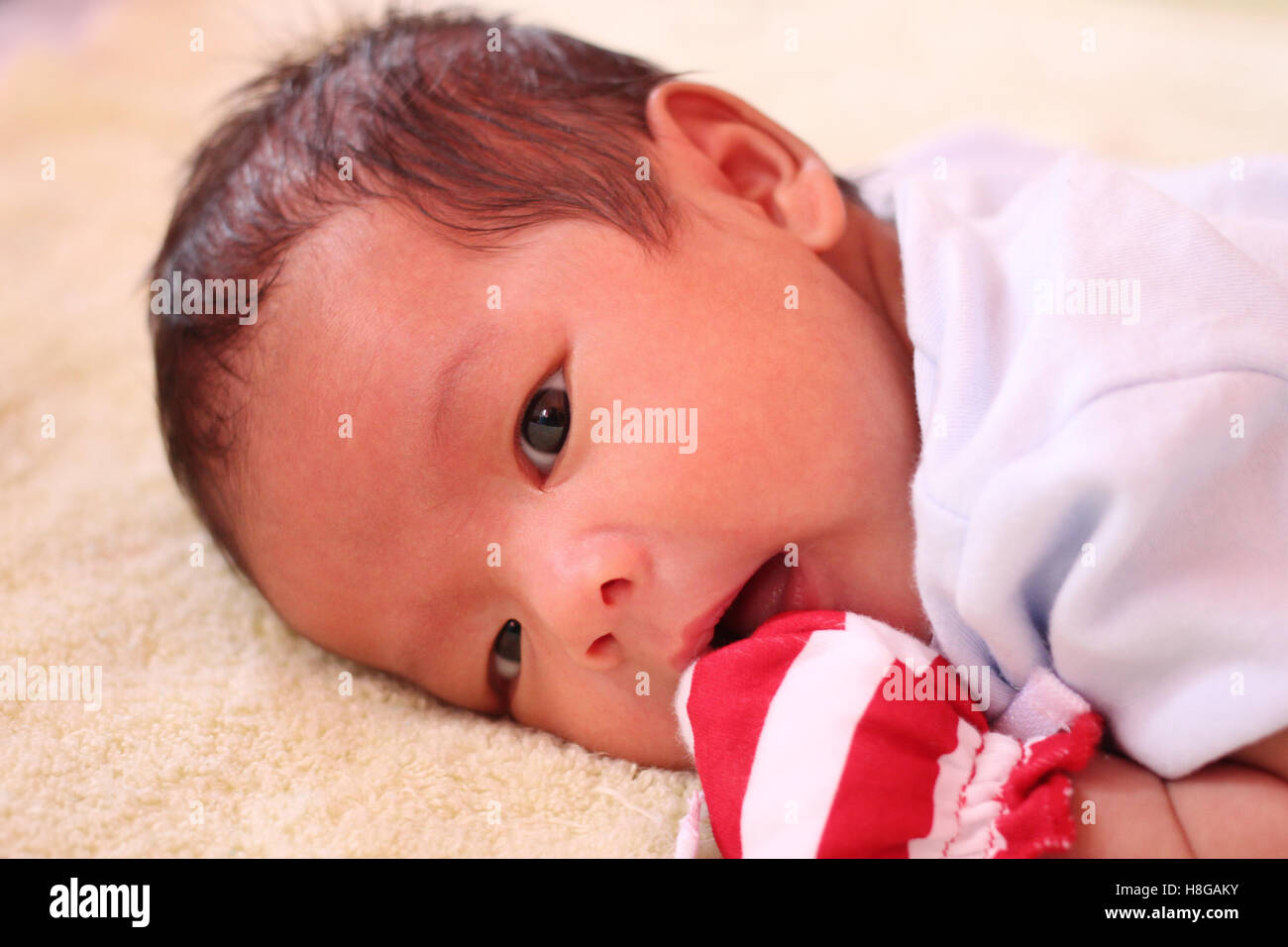 Baby Prone High Resolution Stock Photography and Images - Alamy