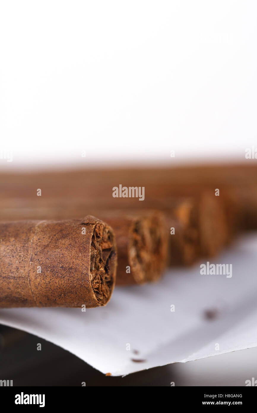 Chocolate cigars in row on white background Stock Photo - Alamy