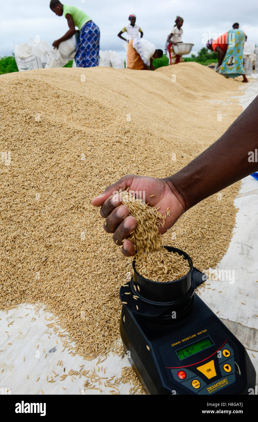 Moisture metre hi-res stock photography and images - Alamy
