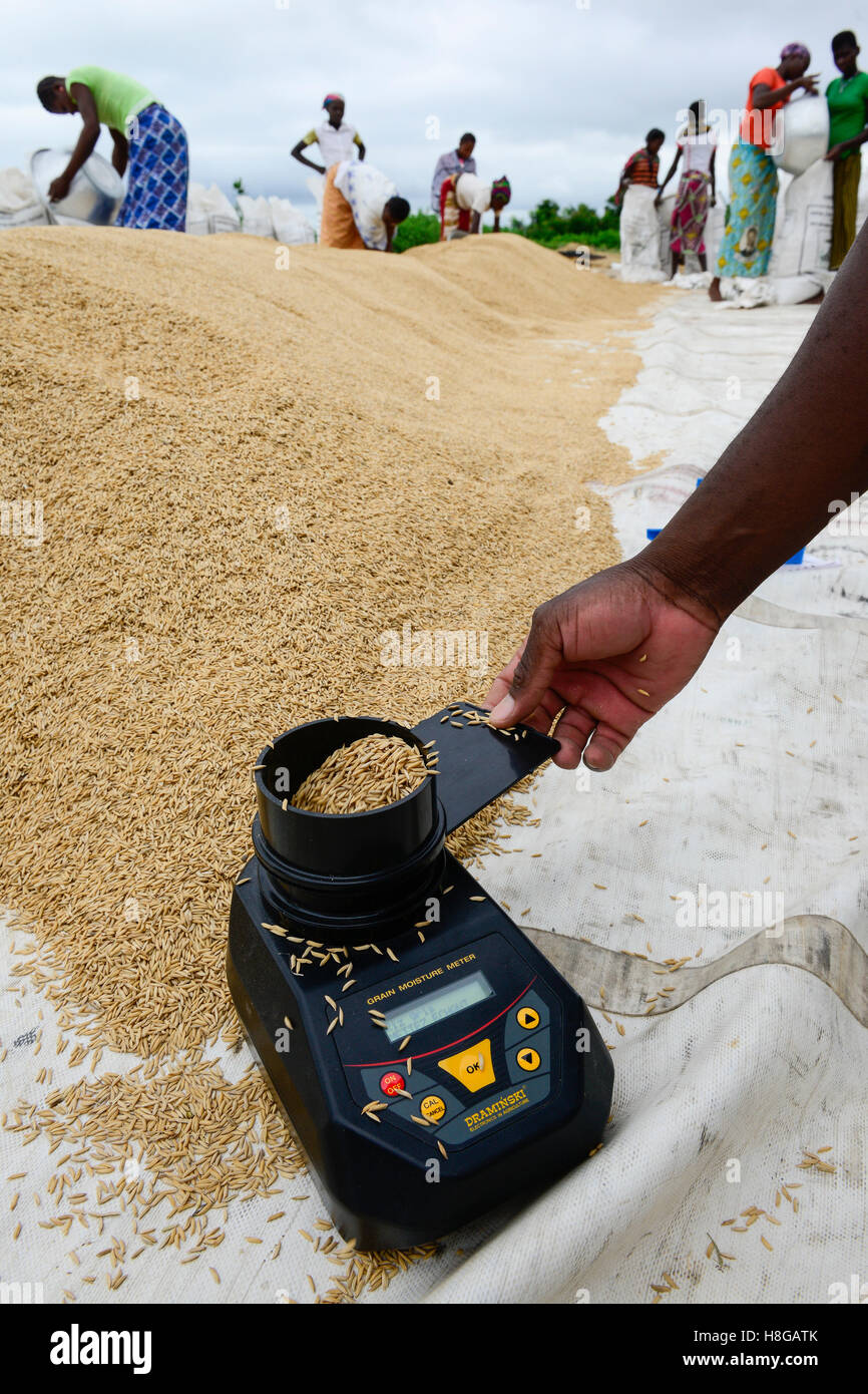 Burkina faso agriculture dry hi-res stock photography and images - Alamy
