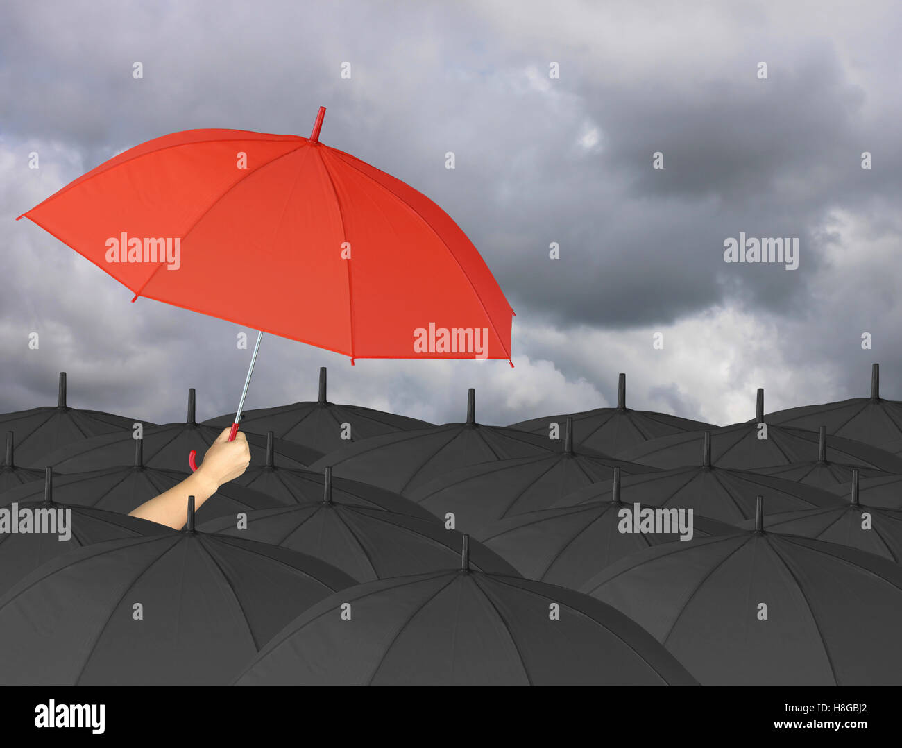 Red umbrella in hand and Surrounded by a black umbrella,concept for ...