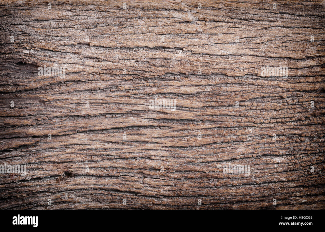 Old wood texture for the design background Stock Photo - Alamy