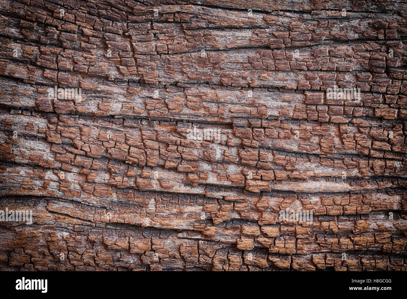 Old wood texture for the design background Stock Photo - Alamy