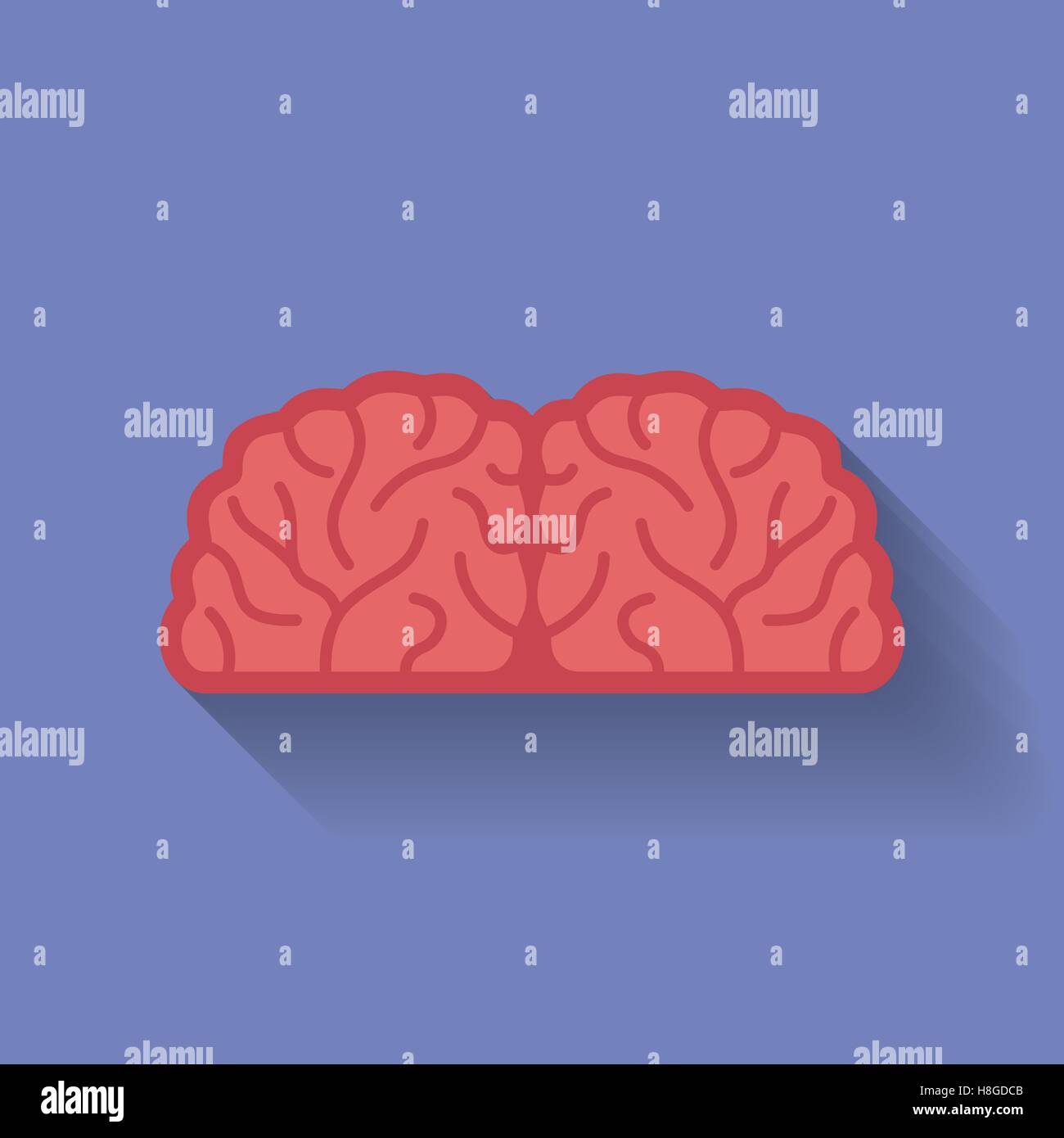 Brain hemisphere anatomy Stock Vector Images - Alamy