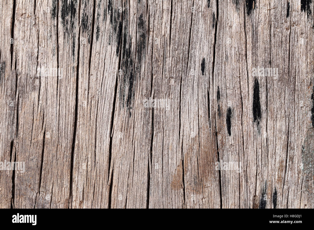 Old wood texture for the design background Stock Photo - Alamy