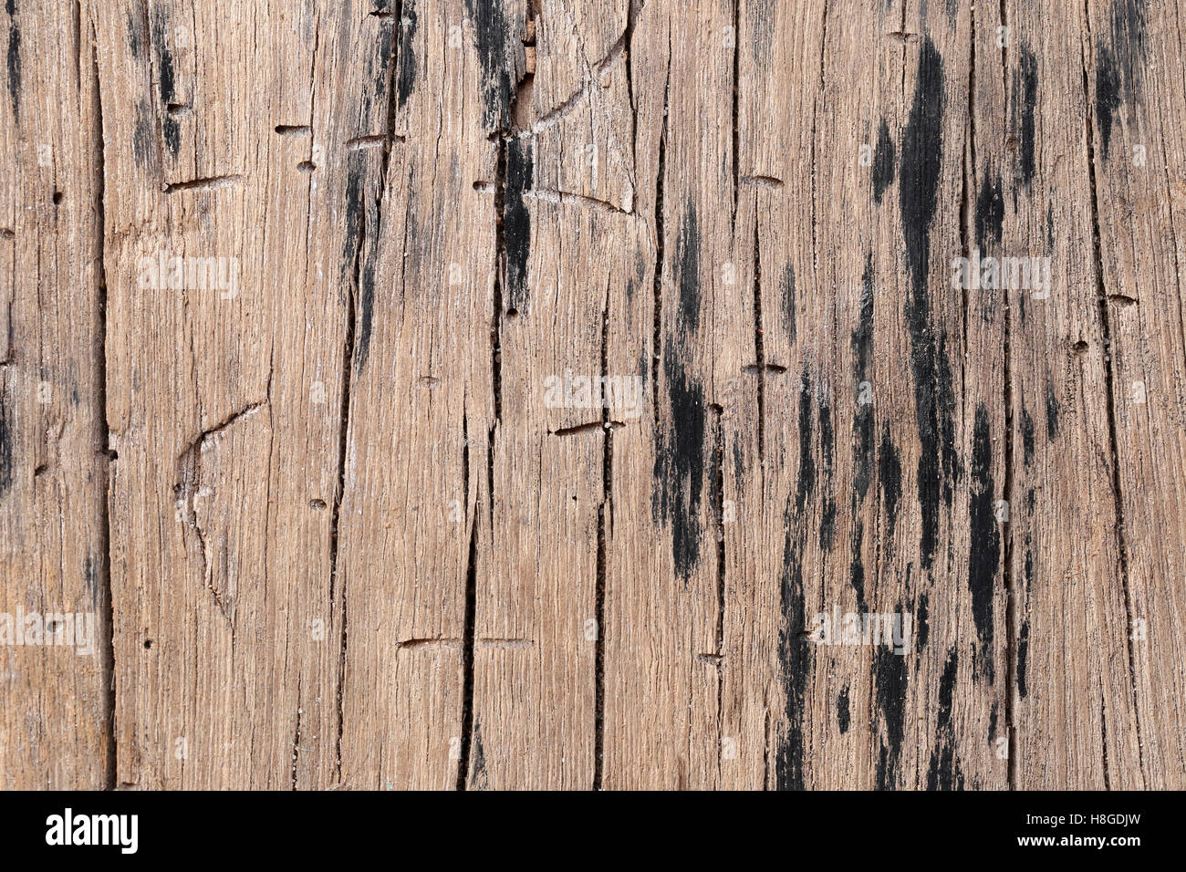 Old wood texture for the design background Stock Photo - Alamy