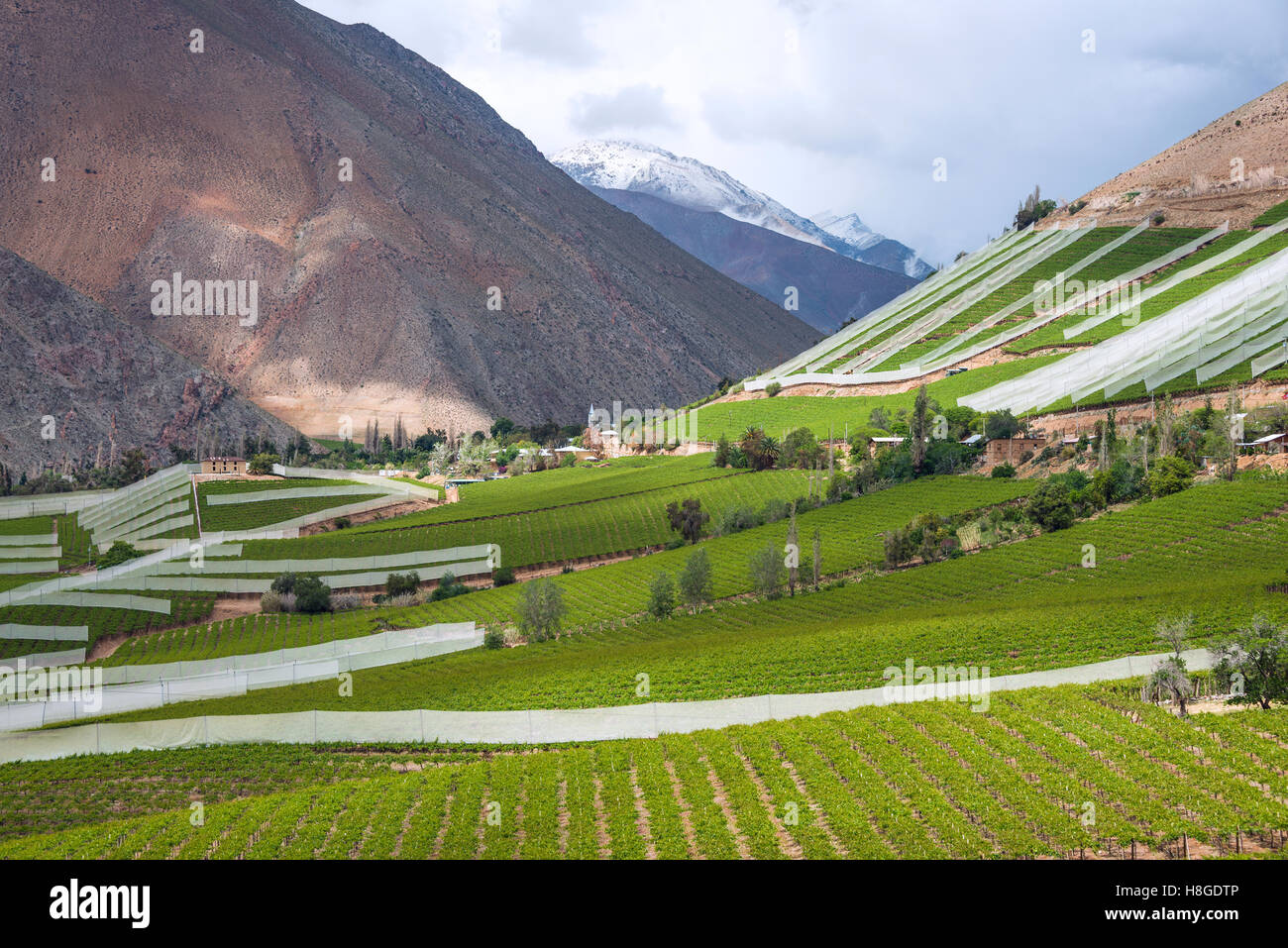 Chile vineyard hi-res stock photography and images - Alamy
