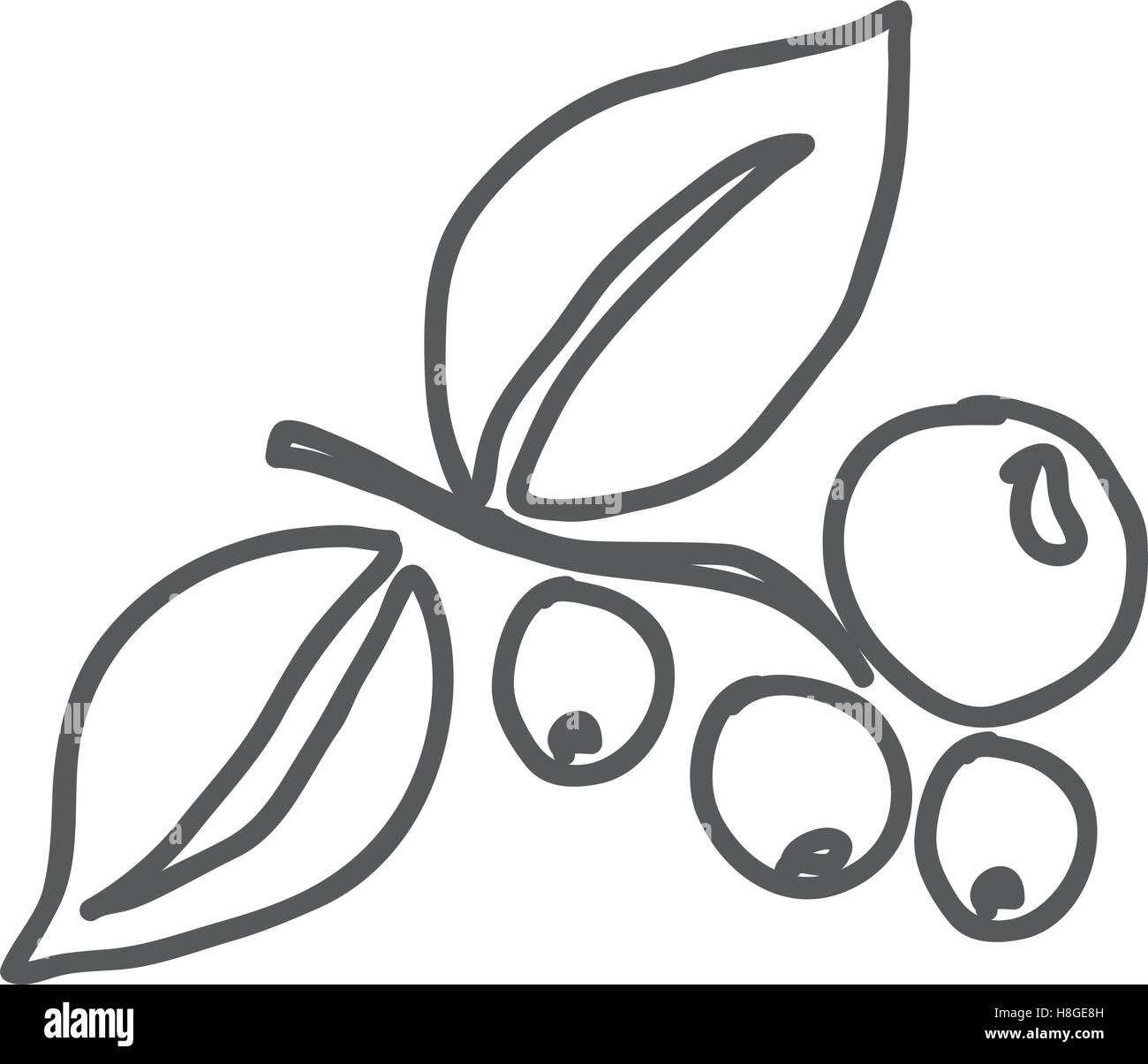 coffee plant icon image vector illustration design Stock Vector Image ...