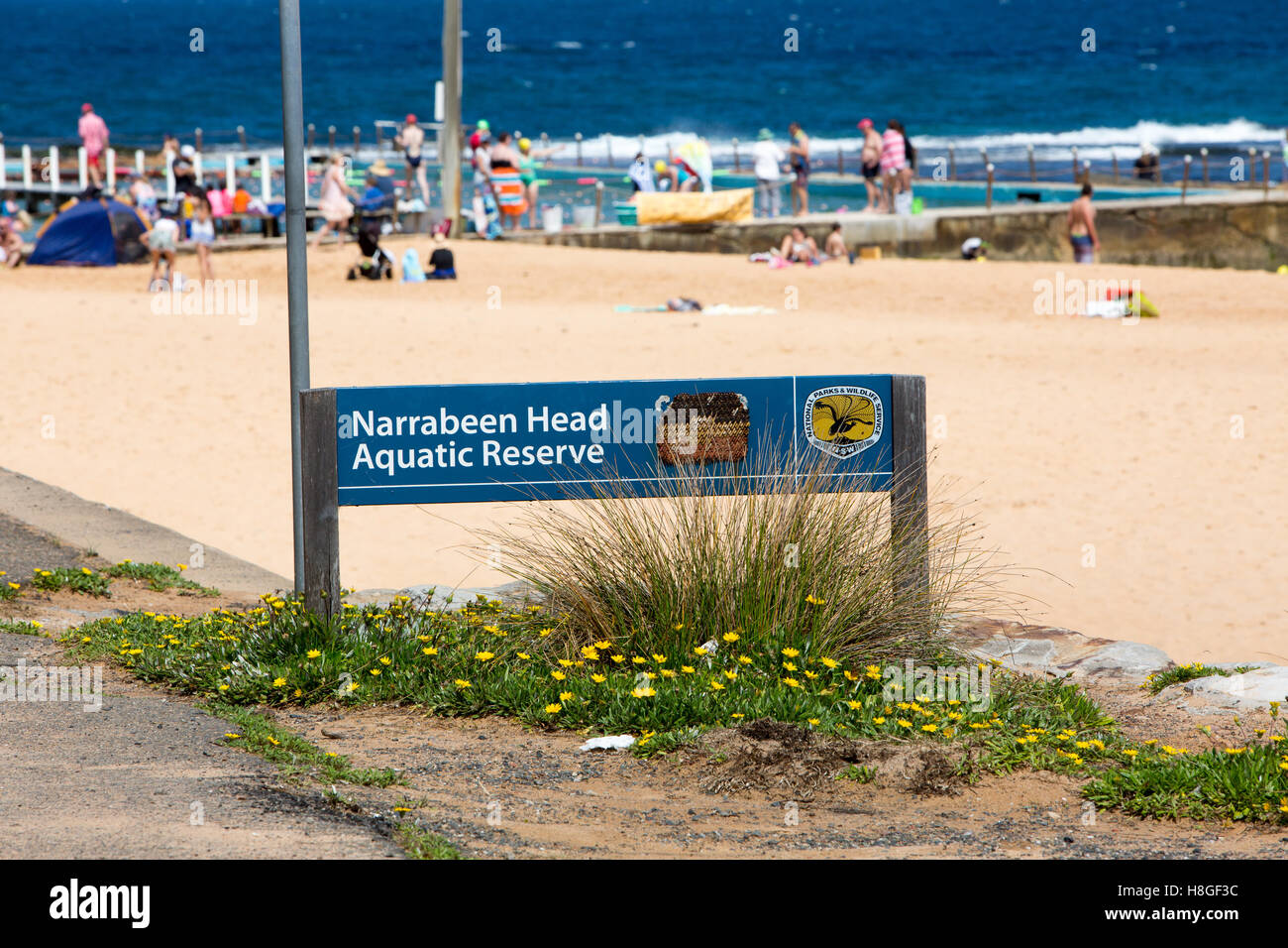Narrabeen beach area in Sydney, one of the northern beaches with lagoon ...
