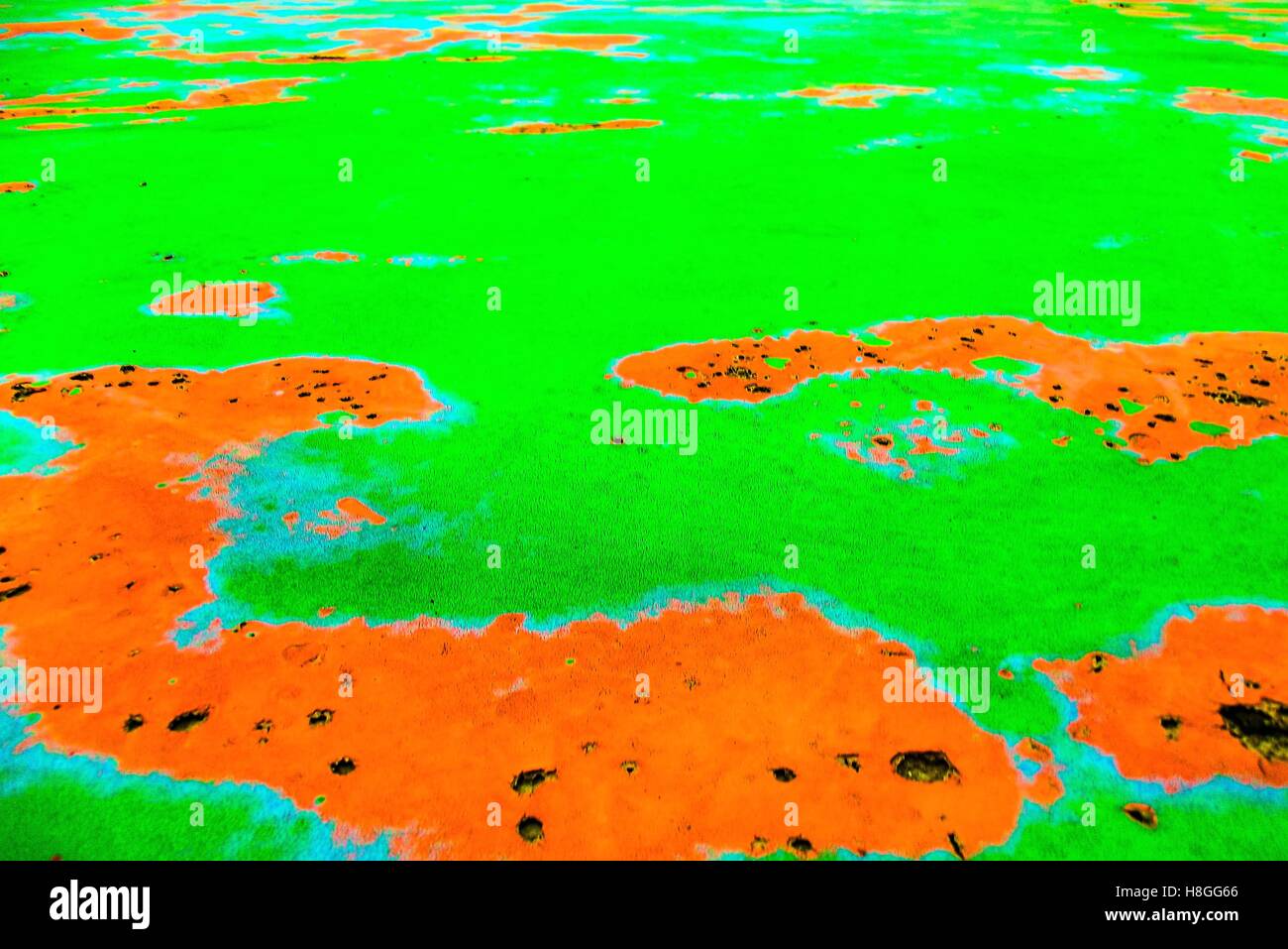 Abstract neon green, orange and turquoise background Stock Photo - Alamy