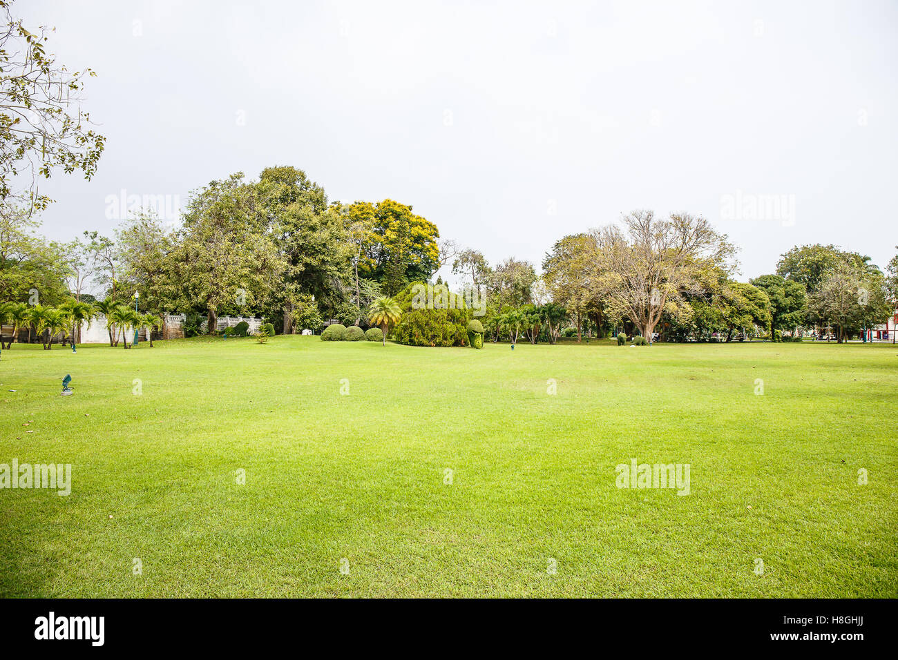 Lawn with blue sky Stock Photo - Alamy