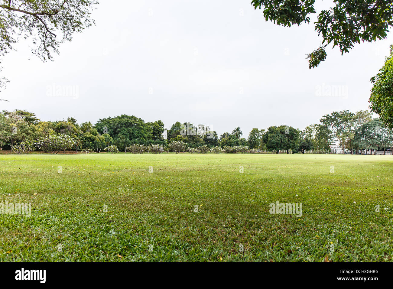 Lawn with blue sky Stock Photo - Alamy