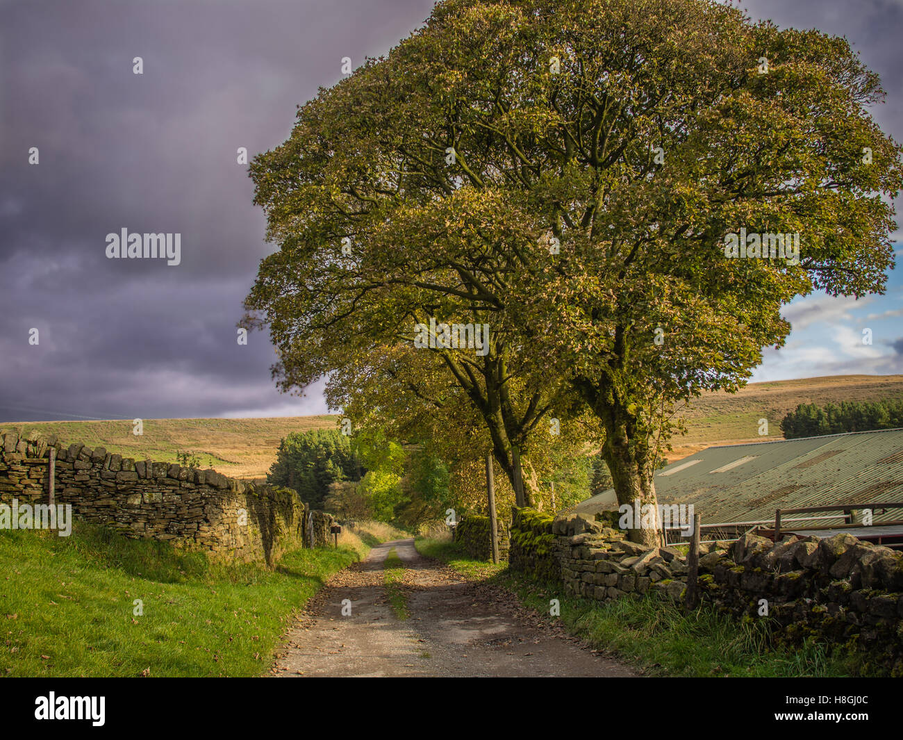 Moor lane bridge hi-res stock photography and images - Alamy